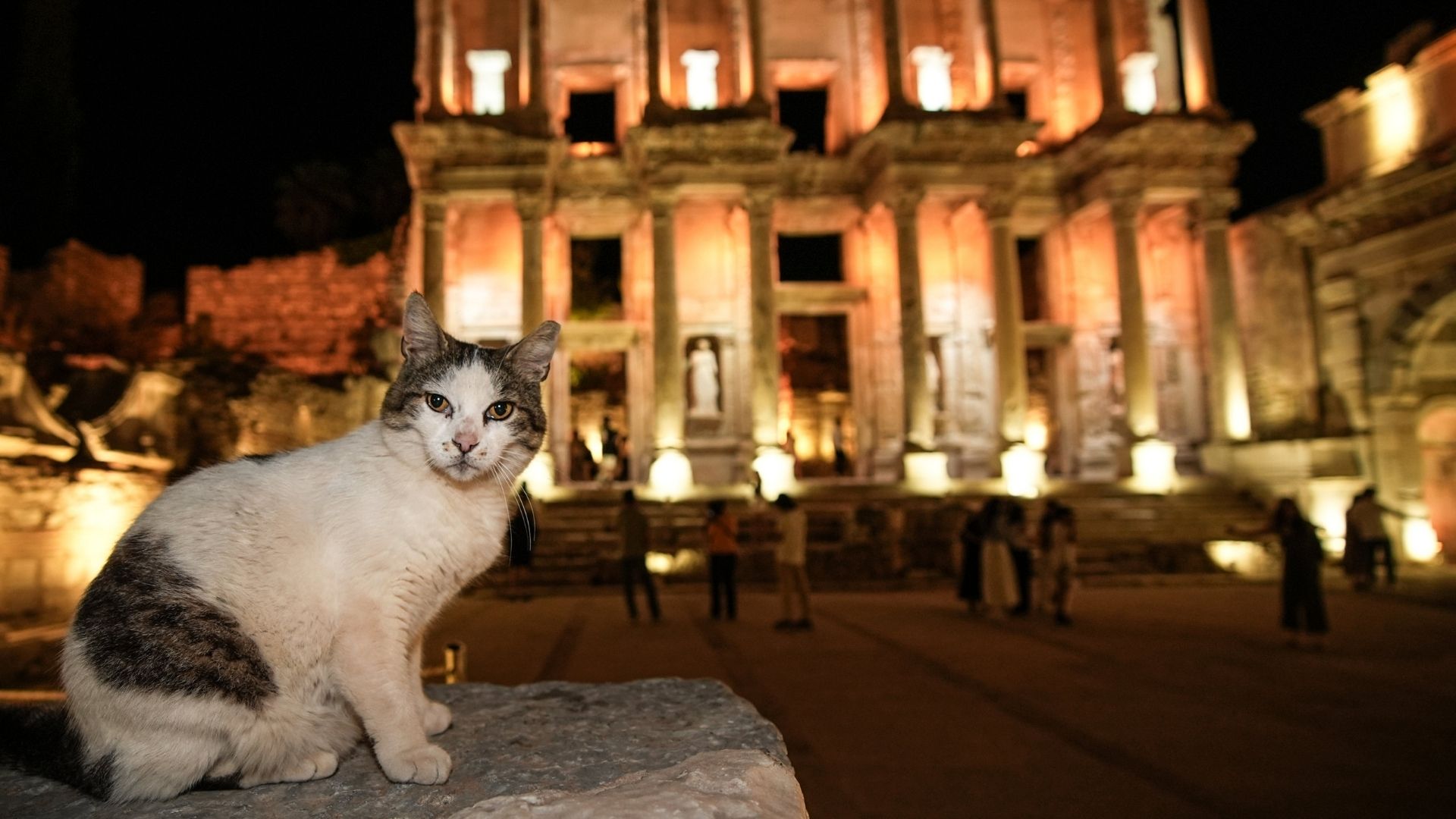 Efes Antik Kenti gece saat kaça kadar açık? Ziyaret günleri açıklandı